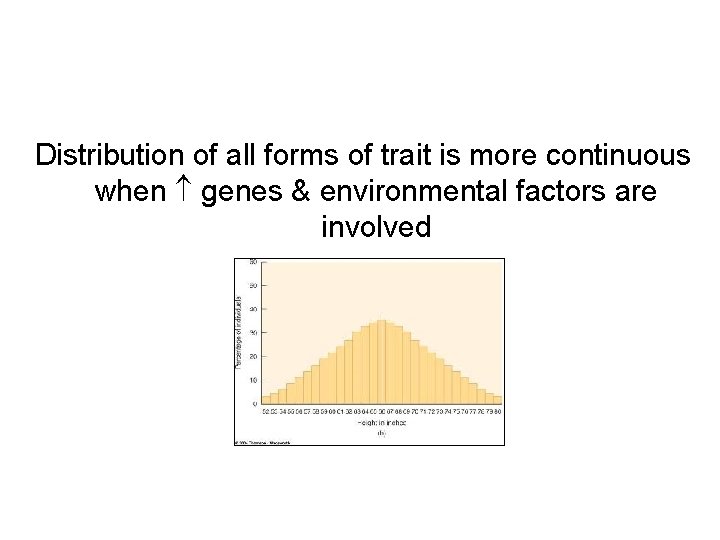 Patterns of Inheritance Chapter 9 Overview Definitions Patterns