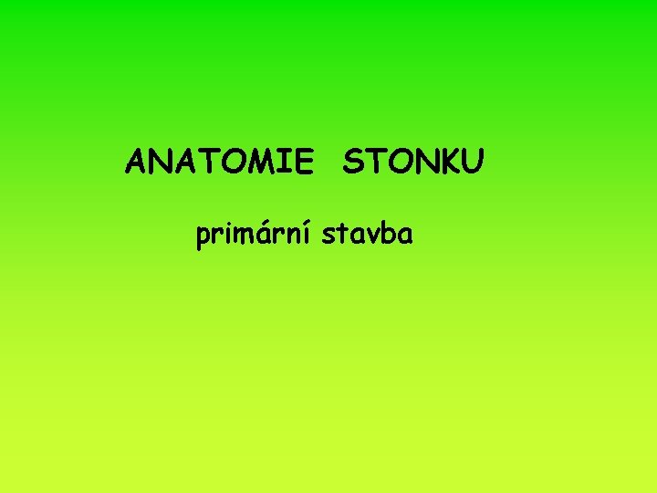 ANATOMIE STONKU primrn stavba Stonek soust prtu je