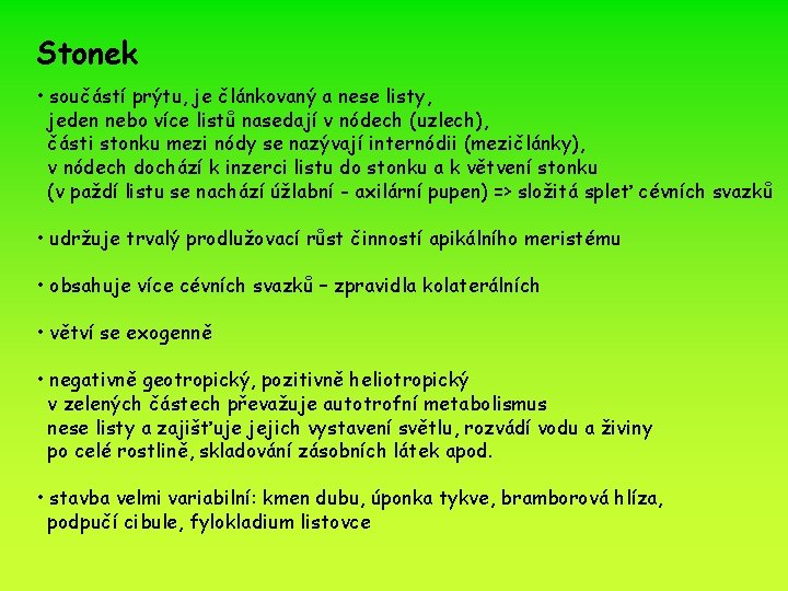 ANATOMIE STONKU primrn stavba Stonek soust prtu je