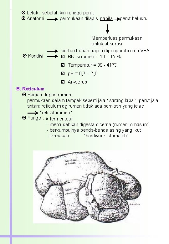SISTEM PENCERNAAN Harus tahu nasib BM dalam perjalanannya