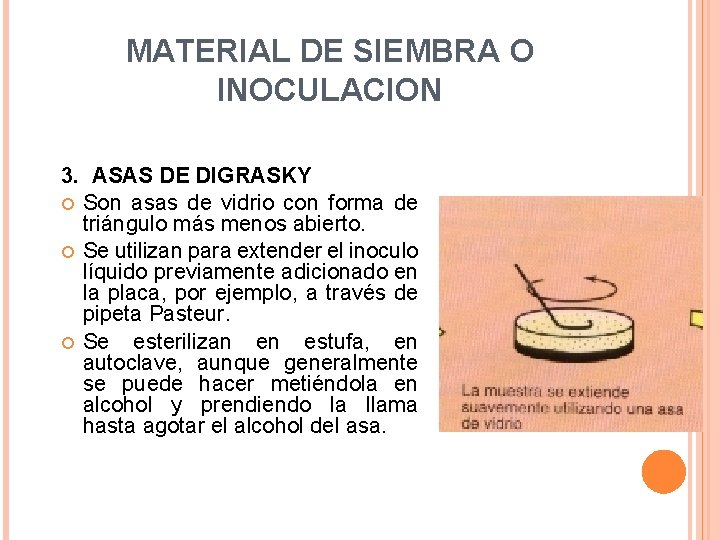 MEDIOS DE CULTIVO Y TCNICAS DE AISLAMIENTO Microbiologa
