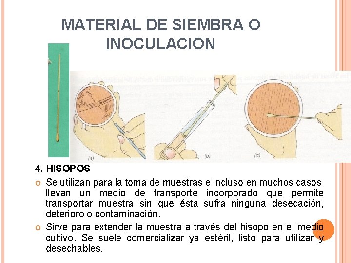 MEDIOS DE CULTIVO Y TCNICAS DE AISLAMIENTO Microbiologa