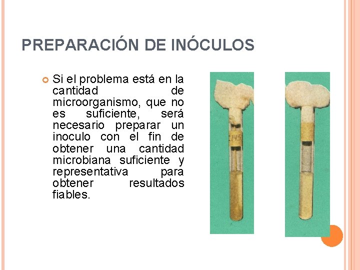 MEDIOS DE CULTIVO Y TCNICAS DE AISLAMIENTO Microbiologa