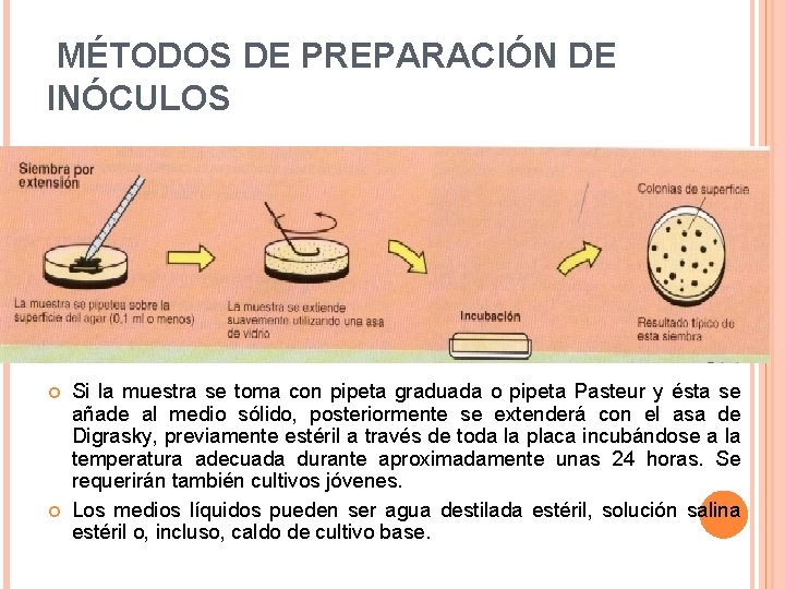 MEDIOS DE CULTIVO Y TCNICAS DE AISLAMIENTO Microbiologa
