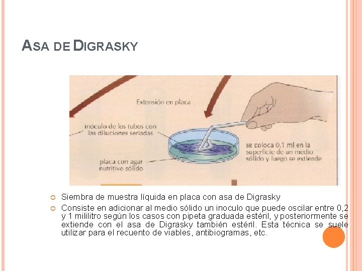 MEDIOS DE CULTIVO Y TCNICAS DE AISLAMIENTO Microbiologa