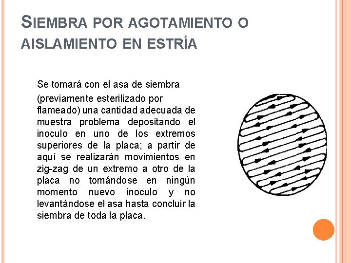 MEDIOS DE CULTIVO Y TCNICAS DE AISLAMIENTO Microbiologa