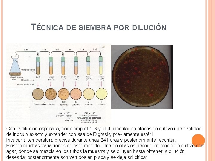 MEDIOS DE CULTIVO Y TCNICAS DE AISLAMIENTO Microbiologa