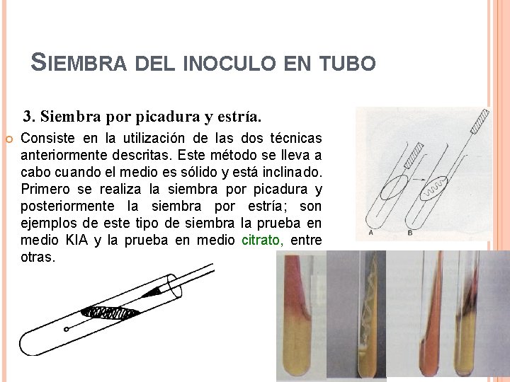 MEDIOS DE CULTIVO Y TCNICAS DE AISLAMIENTO Microbiologa