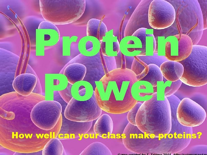 Protein Power How well can your class make