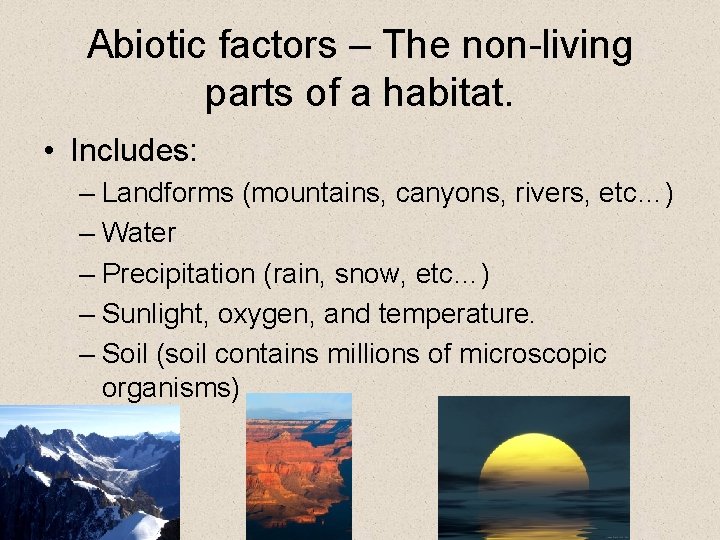 Ecology Notes Habitat The environment that provides everything