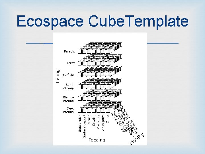 An Introduction to Trilobites Ecospace Coding M Cunniffe
