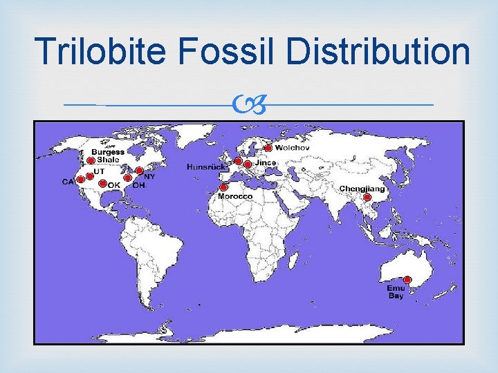 An Introduction to Trilobites Ecospace Coding M Cunniffe