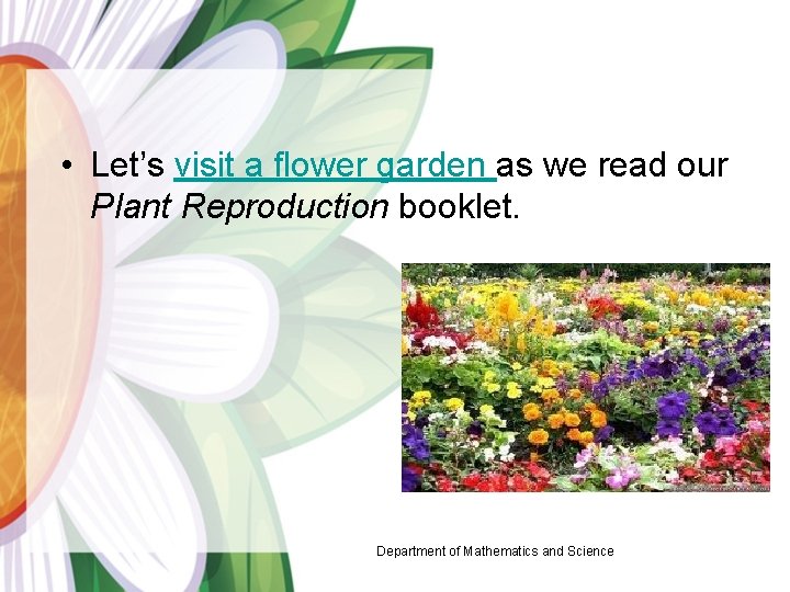 Let Science Shine On The Life Cycle of