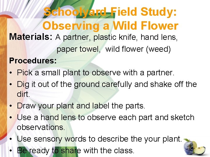 Let Science Shine On The Life Cycle of