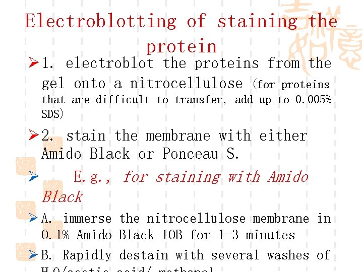 Protein digestion and peptide mass fingerprint PMF analysis
