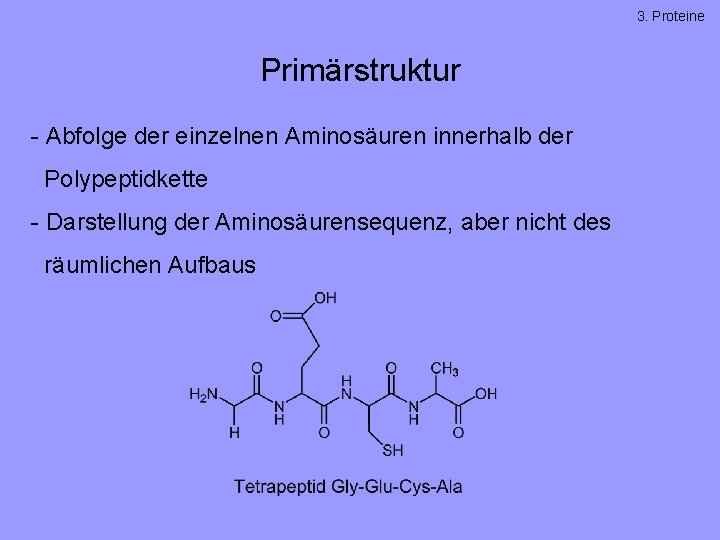 Aminosuren und Proteine Experimentalvortrag von Anke Schleipen Gliederung