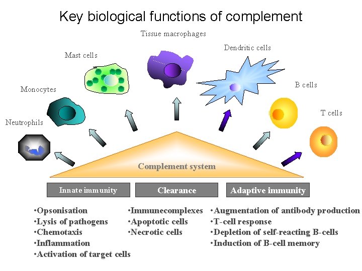 Biological therapy for the manipulation of complement system