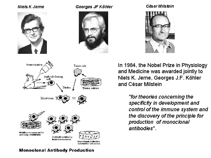 Biological therapy for the manipulation of complement system