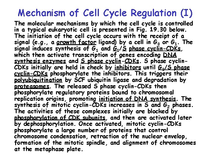 Chap 19 The Eukaryotic Cell Cycle Topics Overview