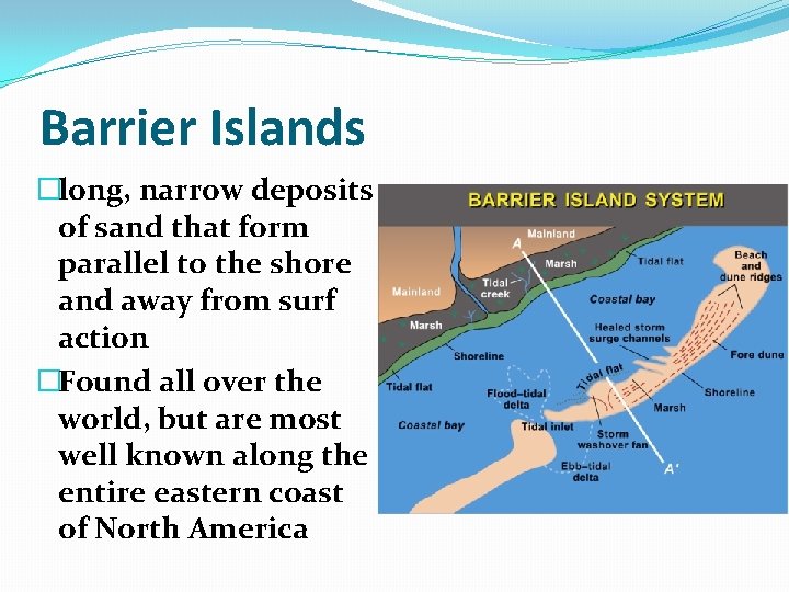 Barrier Islands long narrow deposits of sand that