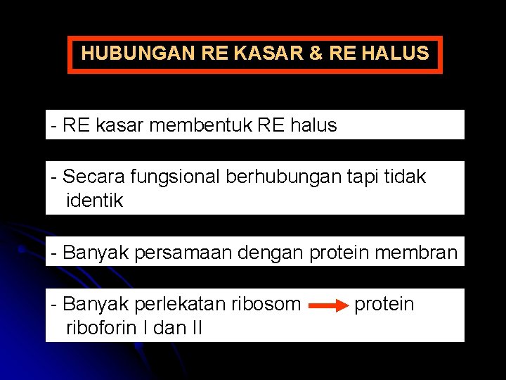 MEMBRAN DALAM TEMPAT BIOSINTESIS OKSIDASI RETIKULUM ENDOPLASMIK SIFATSIFAT