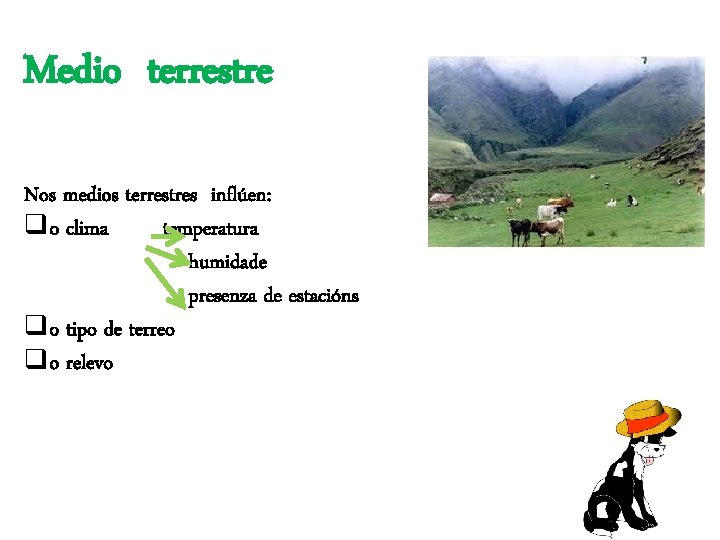 A PROTECCIN DO MEDIO NATURAL ECOSISTEMA Est formado
