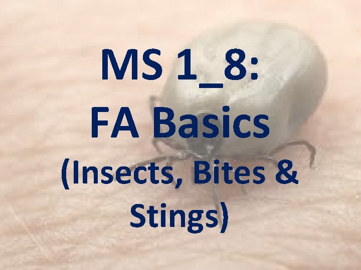 Mountain Safety MS 18 FA Basics Insects Bites