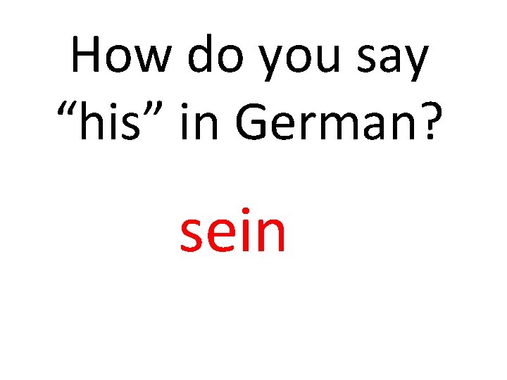 Determine the correct Possessive Adjective for each space