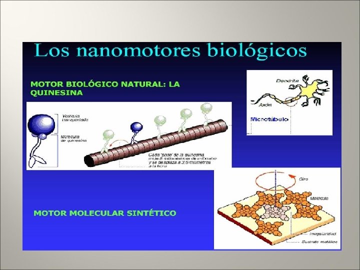NANOTECNOLOGIA Nano smbolo n es un prefijo del