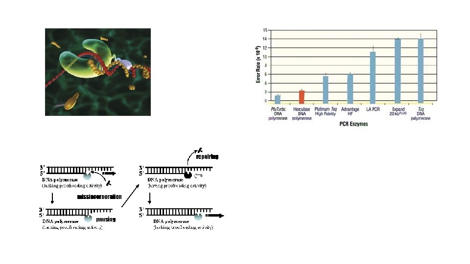 PCR Magnesium chloride 5 2 5 m M
