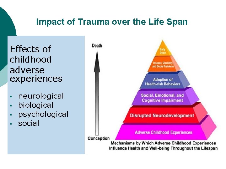 Creating Trauma Sensitive Schools Acknowledgements These materials have