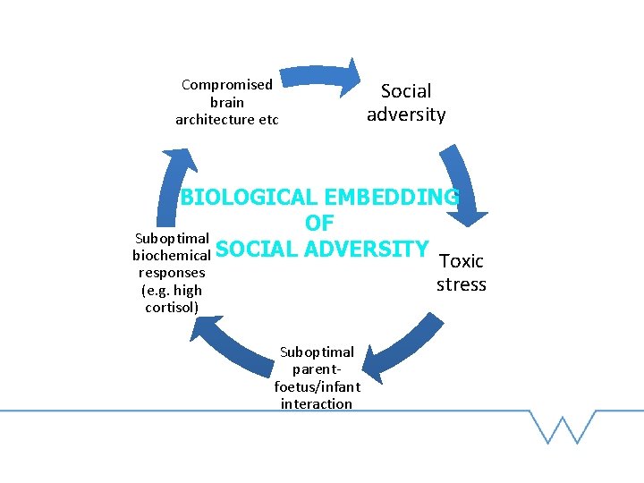 Infant Mental Health Working Effectively Jane Barlow Professor