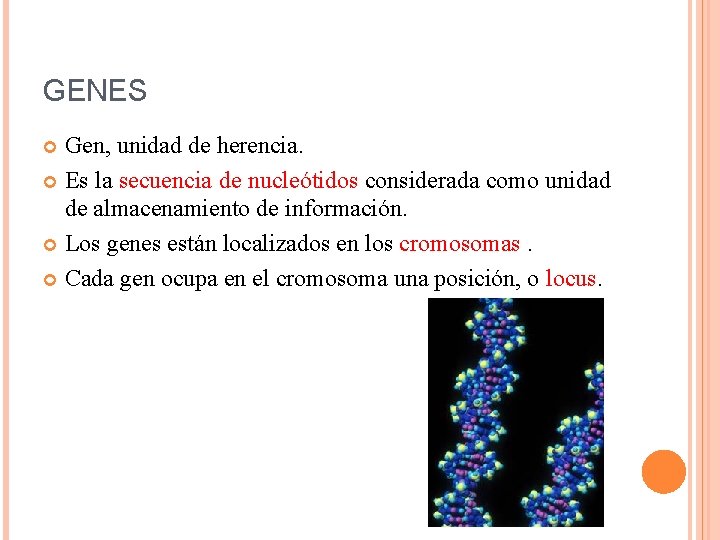 CIENCIAS NATURALES Gentica Molecular GENES Gen unidad de