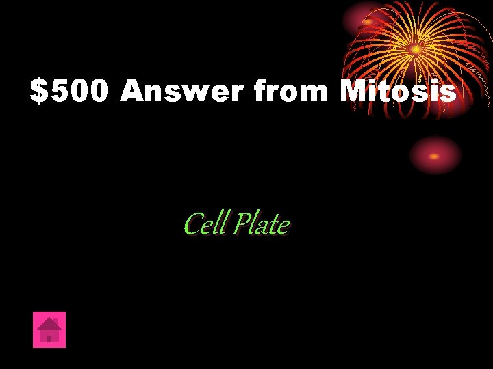 MitosisMeiosis JEOPARDY Jeopardy Mitosis Meiosis Chromosomes Cell Cycle