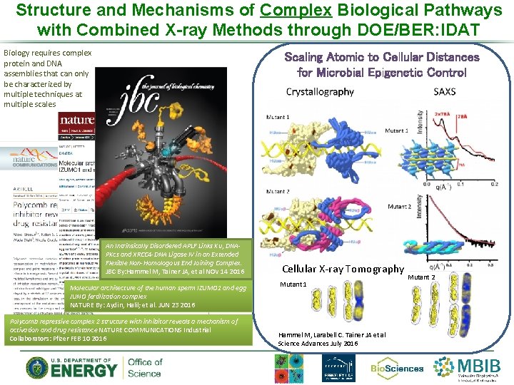 Biological Nanomachine Architecture and Designed Function with SAXS