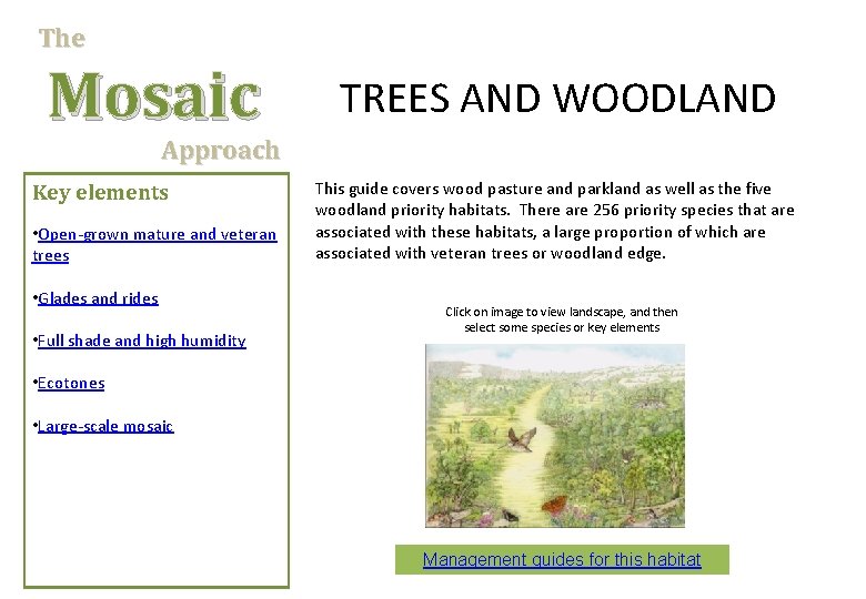 The Mosaic TREES AND WOODLAND Approach Key elements