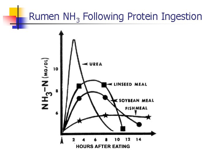 Ruminant Protein Nutrition More appropriate Rumen Nitrogen Metabolism