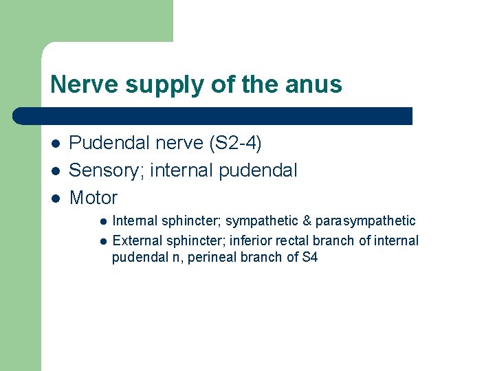 Anorectal anatomy and physiology l l Surgical anal