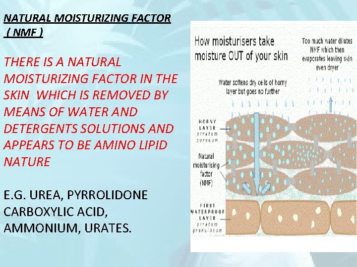 Cleansing creams remove dirt from the skin by