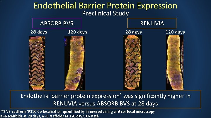 CRT 2018 BRS Technologies Beyond ABSORB Emerging BRS