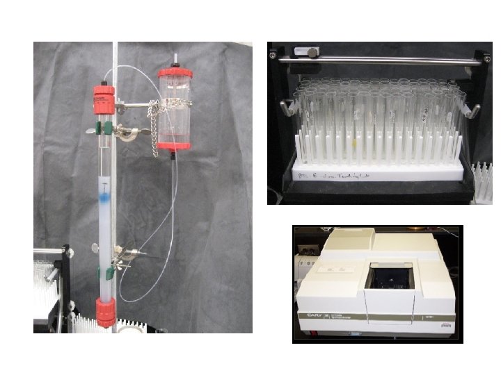 Why Do We Analyze Proteins Proteins play crucial