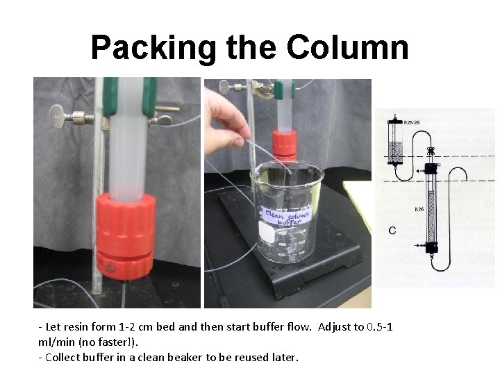 Why Do We Analyze Proteins Proteins play crucial