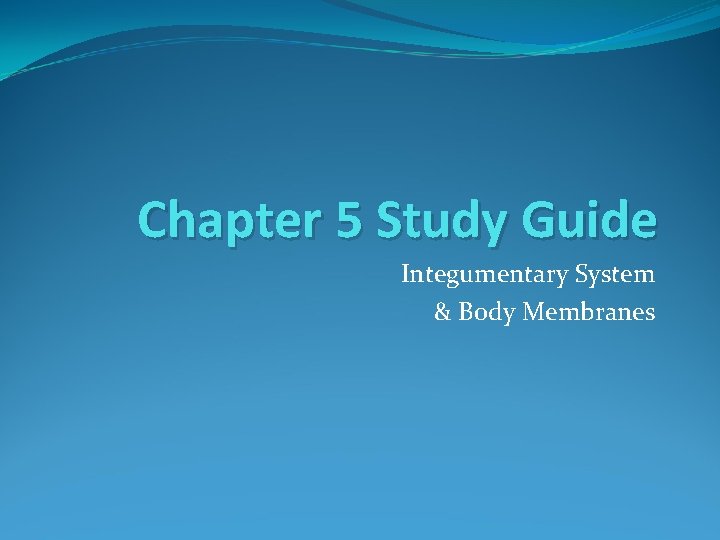 Chapter 5 Study Guide Integumentary System Body Membranes