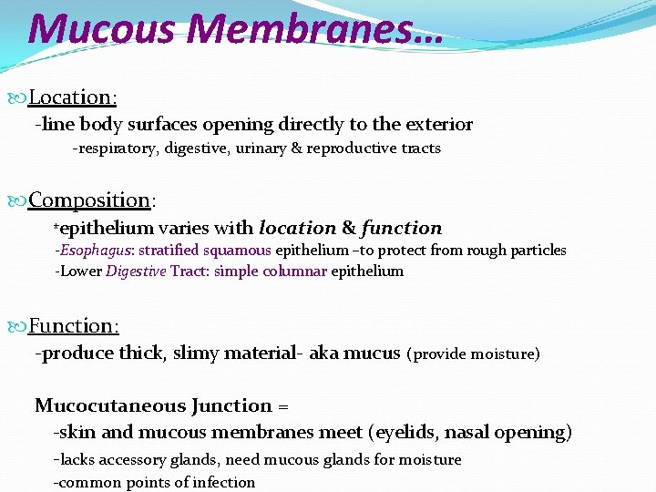 Chapter 5 Study Guide Integumentary System Body Membranes