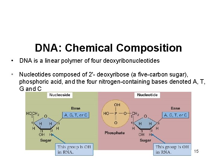 1 The Genetic Code of Genes and Genomes