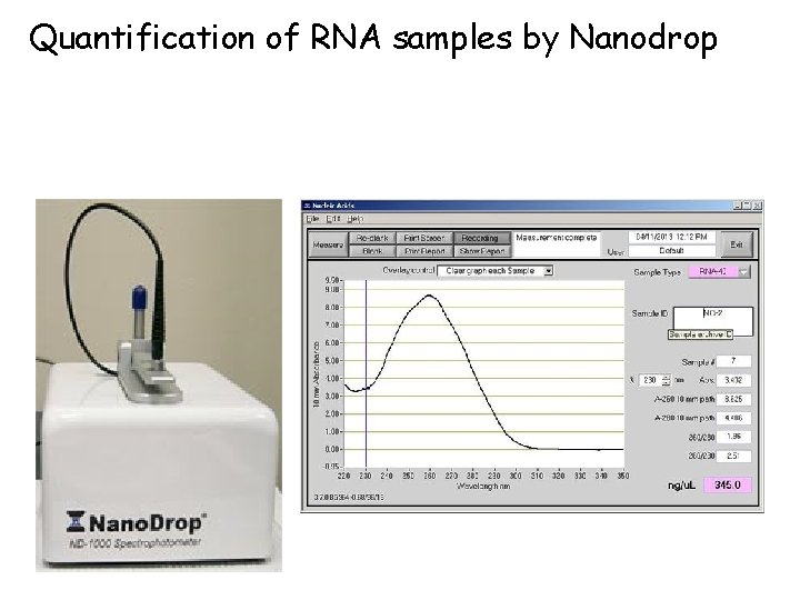 RNA Lab Isolation quantification and q PCR analysis