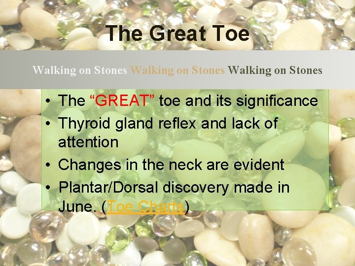 Reflexology for the Future by Connie S Young