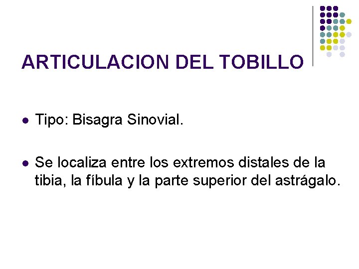 MIEMBRO INFERIOR LADY FONSECA CASTRO MIEMBRO INFERIOR l