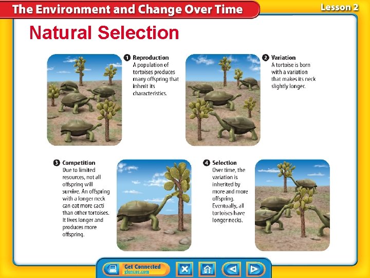 Chapter Introduction Lesson 1 Fossil Evidence of Evolution