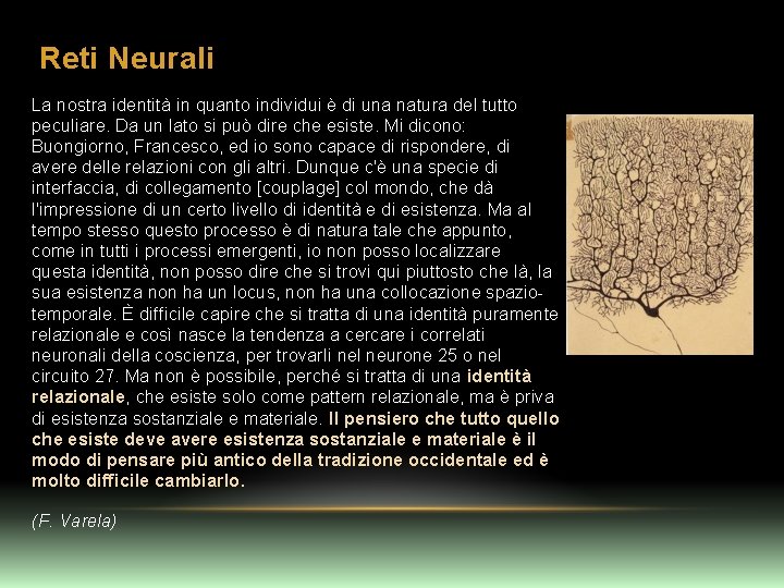 PROGETTO EVOLUZIONISMO La Neotenia umana Prof Federico Agen